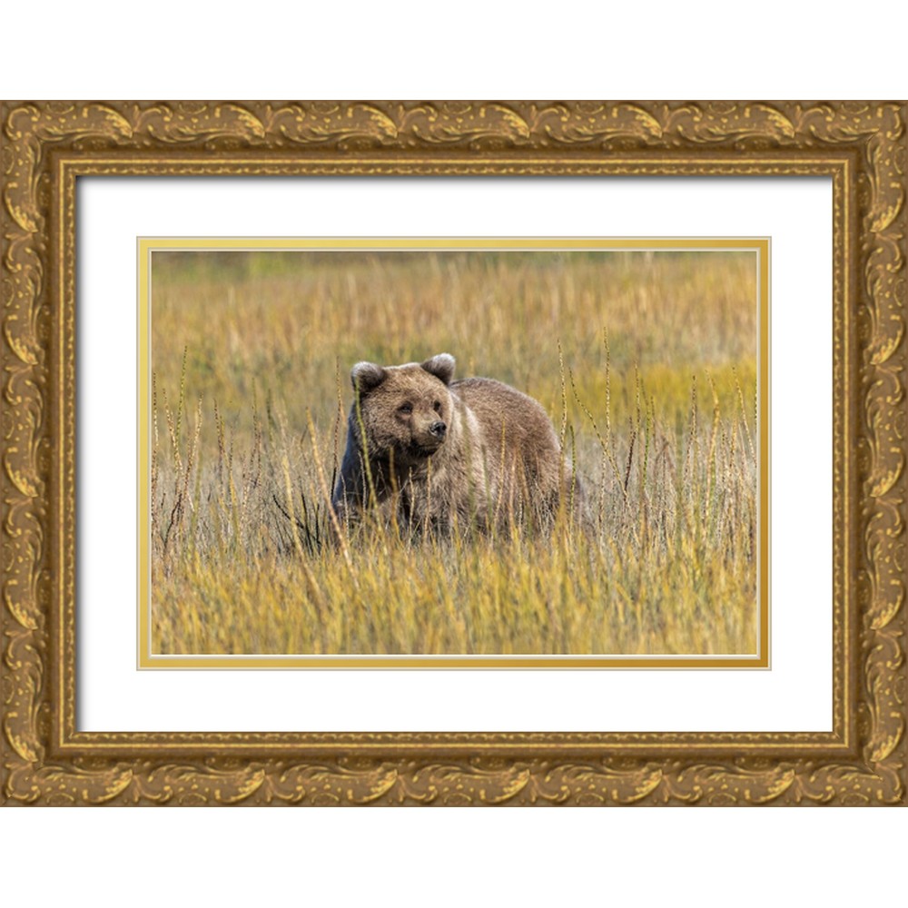 Jones, Adam 18x13 Gold Ornate Wood Framed with Double Matting Museum ...