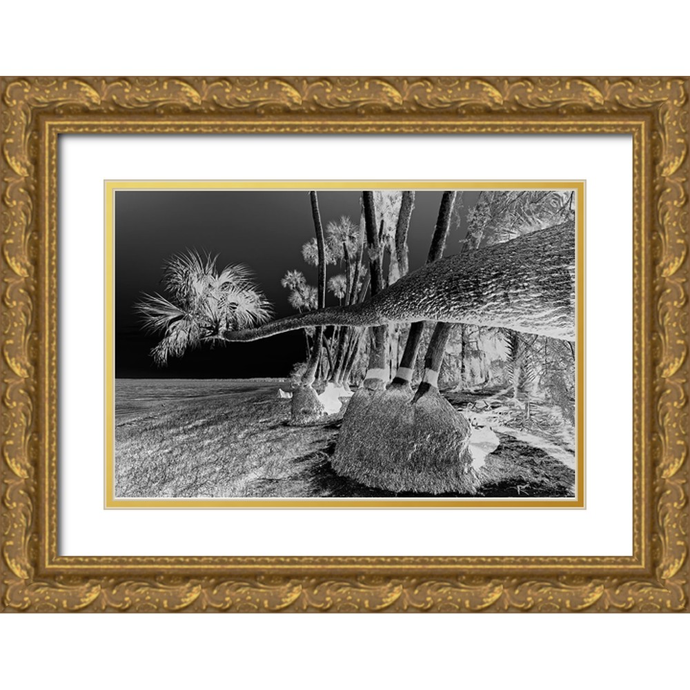 Jones, Adam 18x13 Gold Ornate Wood Framed with Double Matting Museum ...