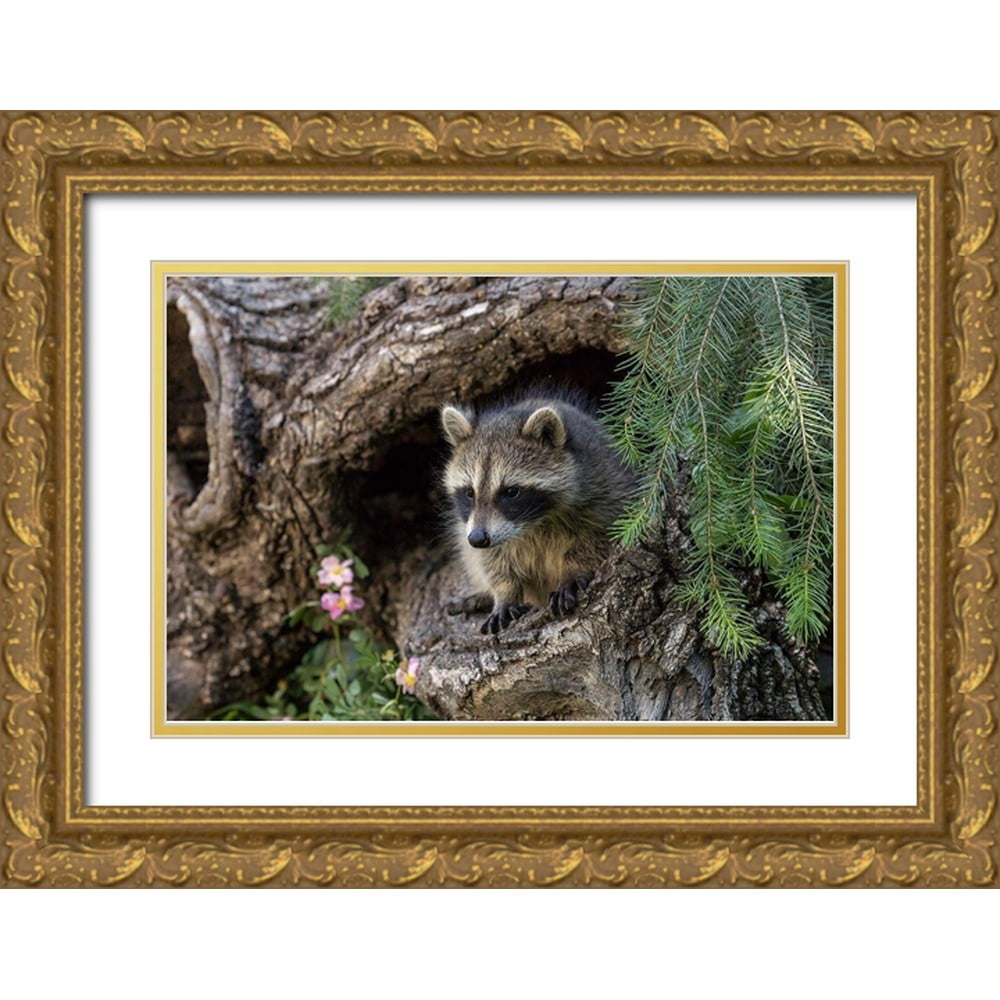 Jones, Adam 18x13 Gold Ornate Wood Framed with Double Matting Museum ...