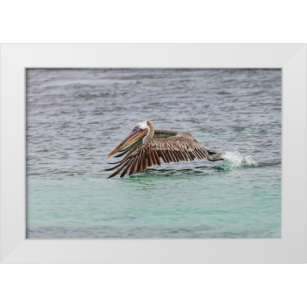 Jones, Adam 18x13 White Modern Wood Framed Museum Art Print Titled ...