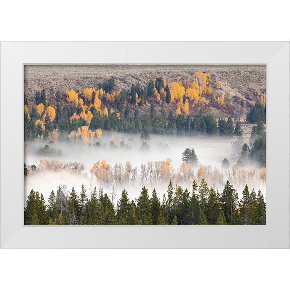 Jones, Adam 18x13 White Modern Wood Framed Museum Art Print Titled ...