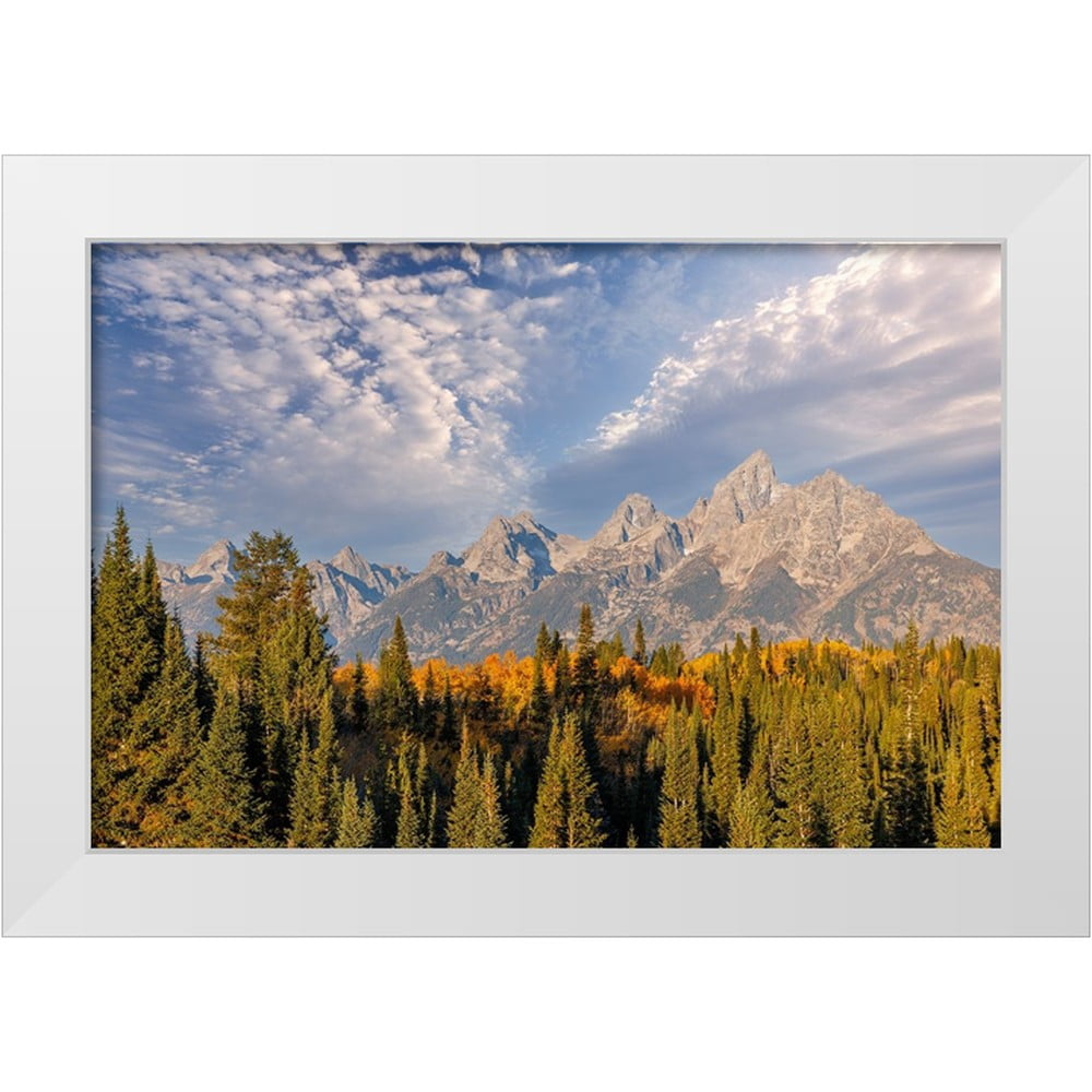 Jones, Adam 18x13 White Modern Wood Framed Museum Art Print Titled ...