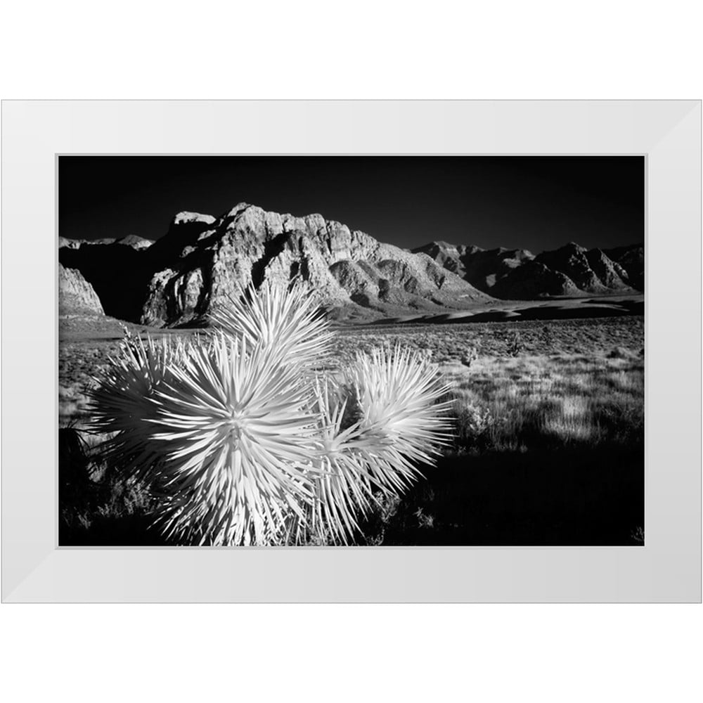 Jones, Adam 18x13 White Modern Wood Framed Museum Art Print Titled ...