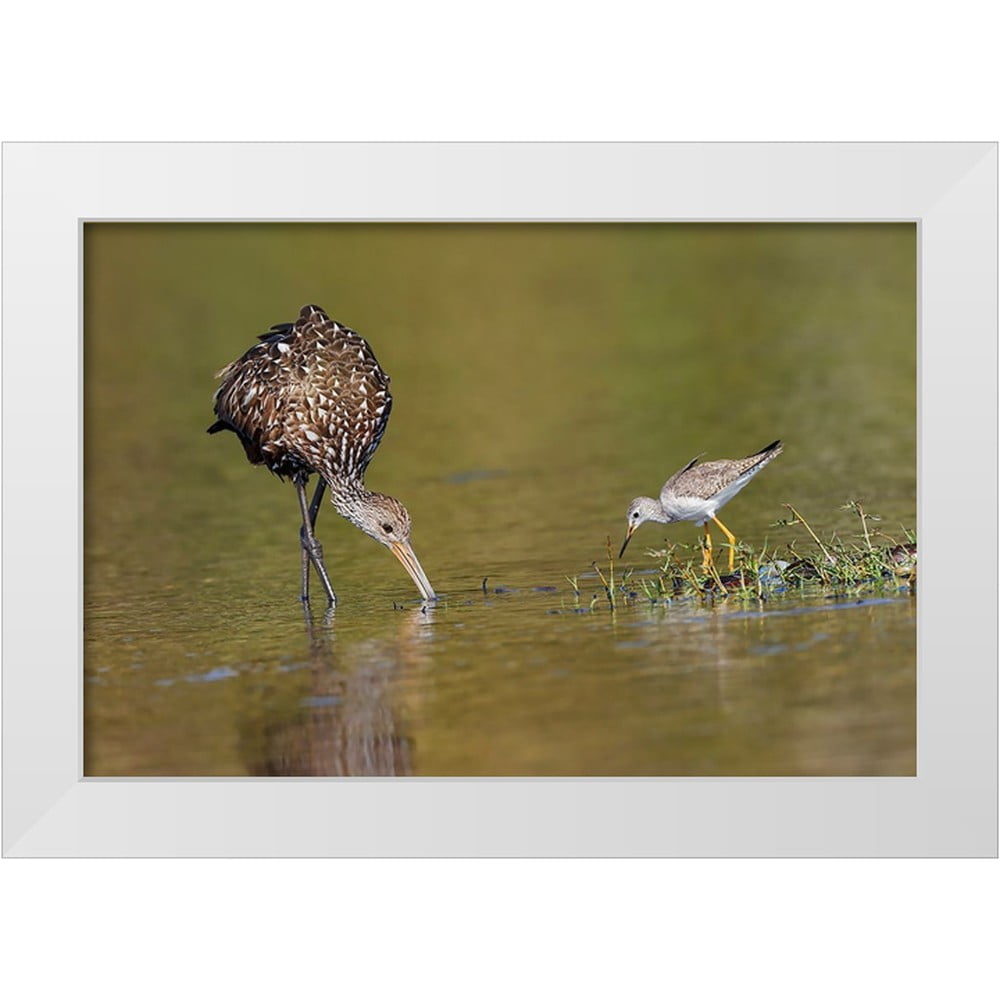 Jones, Adam 18x13 White Modern Wood Framed Museum Art Print Titled ...