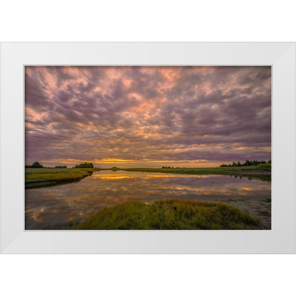 Jones, Adam 18x13 White Modern Wood Framed Museum Art Print Titled ...