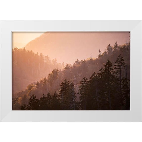 Jones, Adam 18x13 White Modern Wood Framed Museum Art Print Titled ...