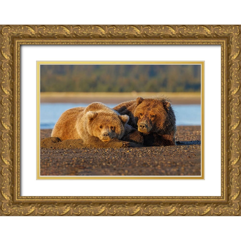Jones, Adam 18x14 Gold Ornate Wood Framed with Double Matting Museum ...