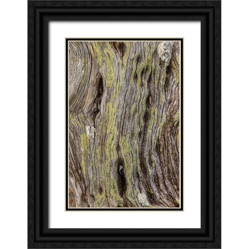 Jones, Adam 23x32 Black Ornate Wood Framed with Double Matting Museum ...