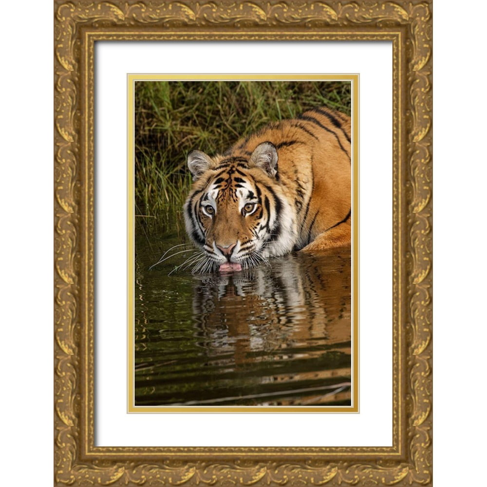 Jones, Adam 23x32 Gold Ornate Wood Framed with Double Matting Museum ...