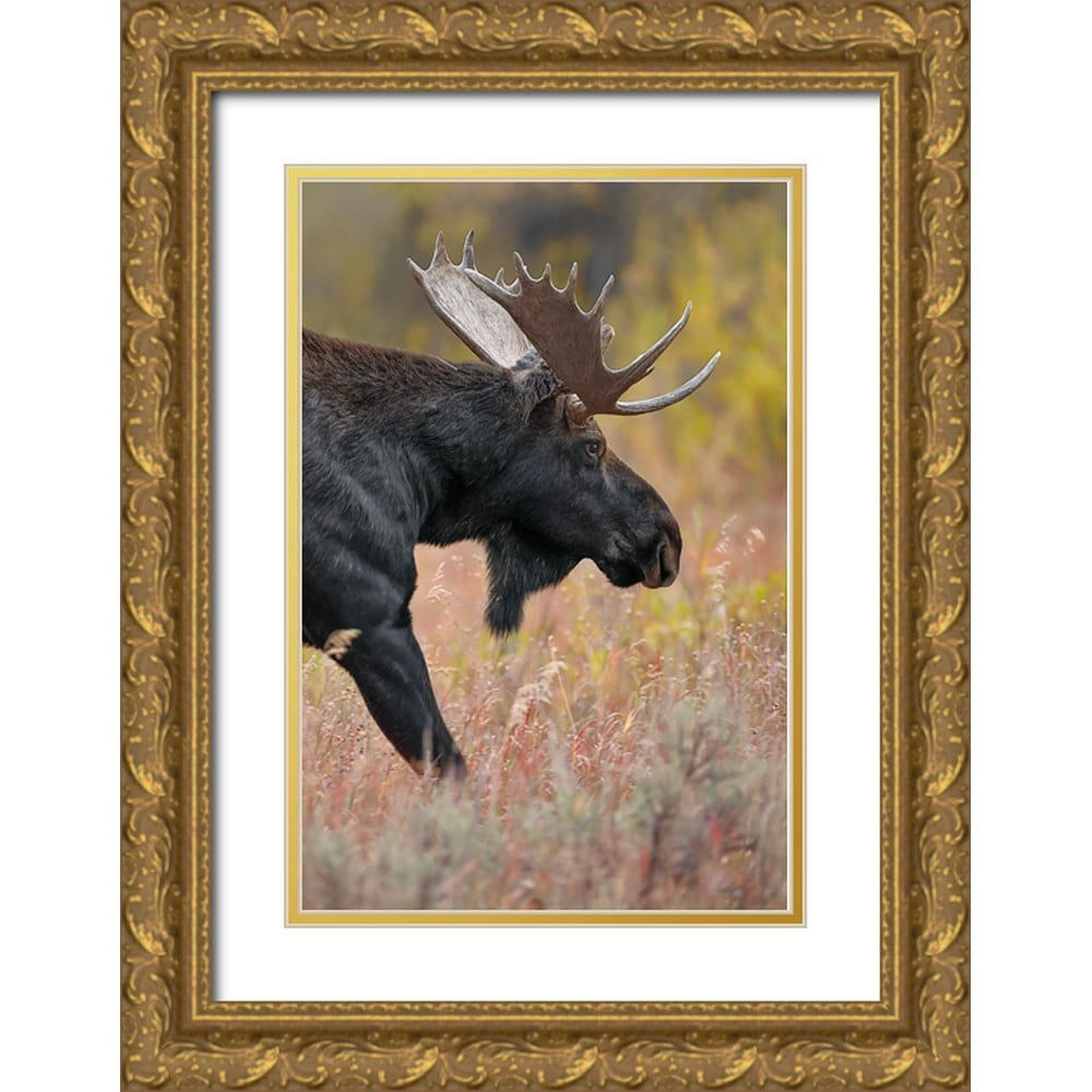 Jones, Adam 23x32 Gold Ornate Wood Framed with Double Matting Museum ...