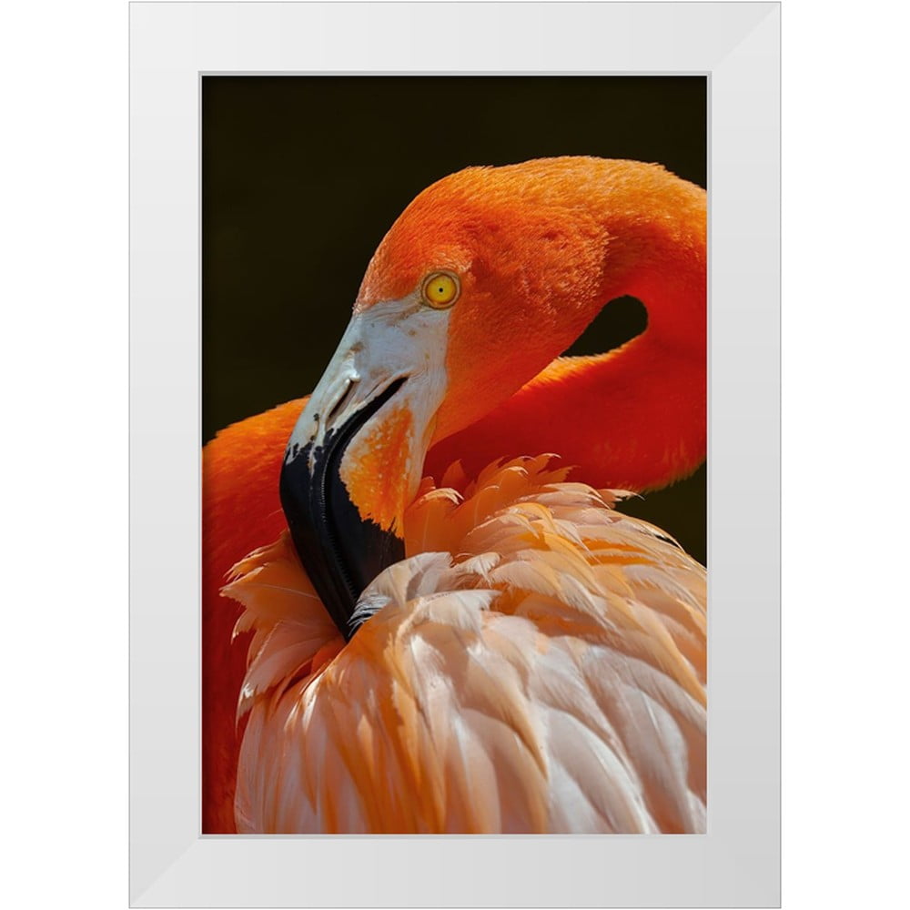 Jones, Adam 23x32 White Modern Wood Framed Museum Art Print Titled ...