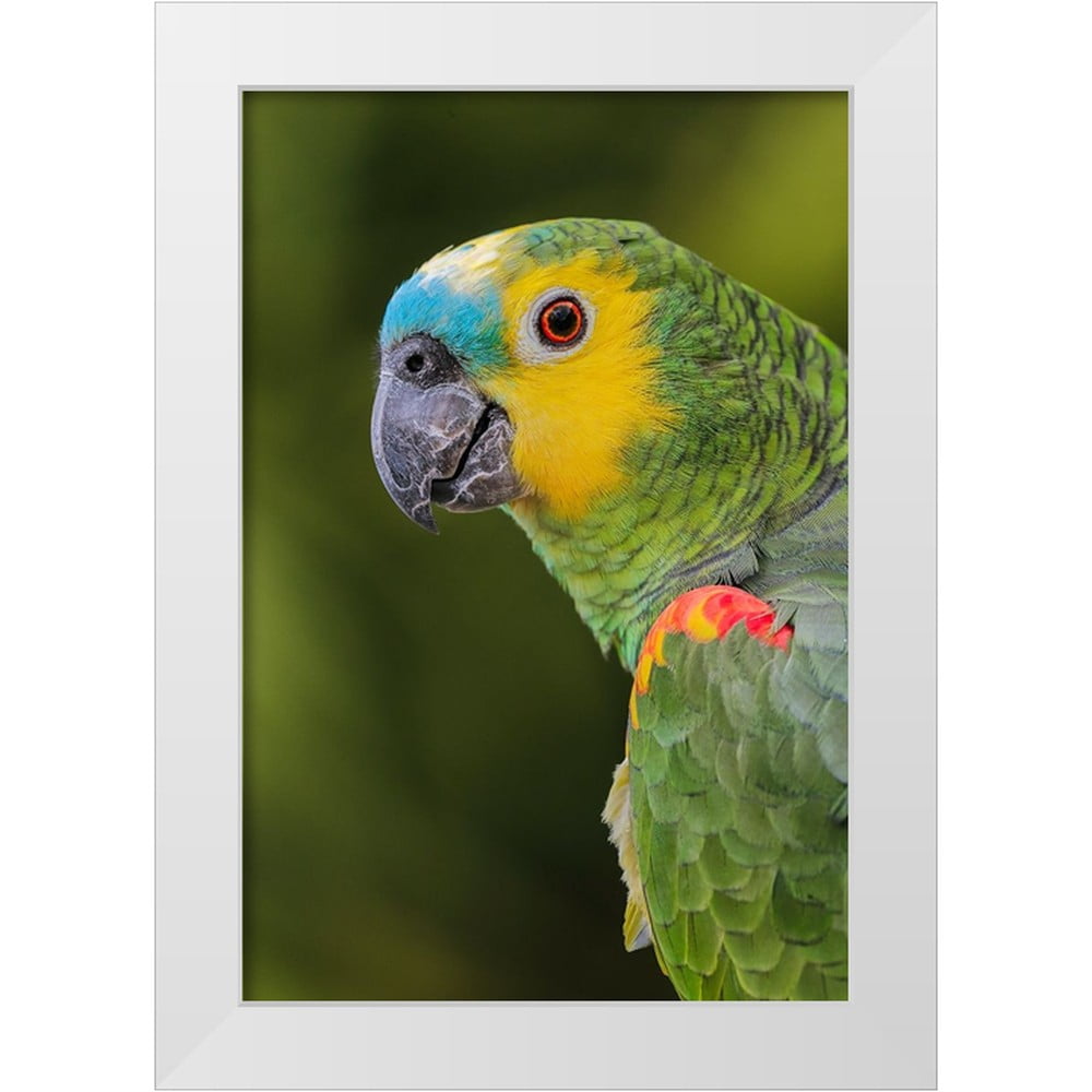 Jones, Adam 23x32 White Modern Wood Framed Museum Art Print Titled ...