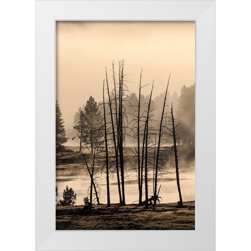 Jones, Adam 23x32 White Modern Wood Framed Museum Art Print Titled ...