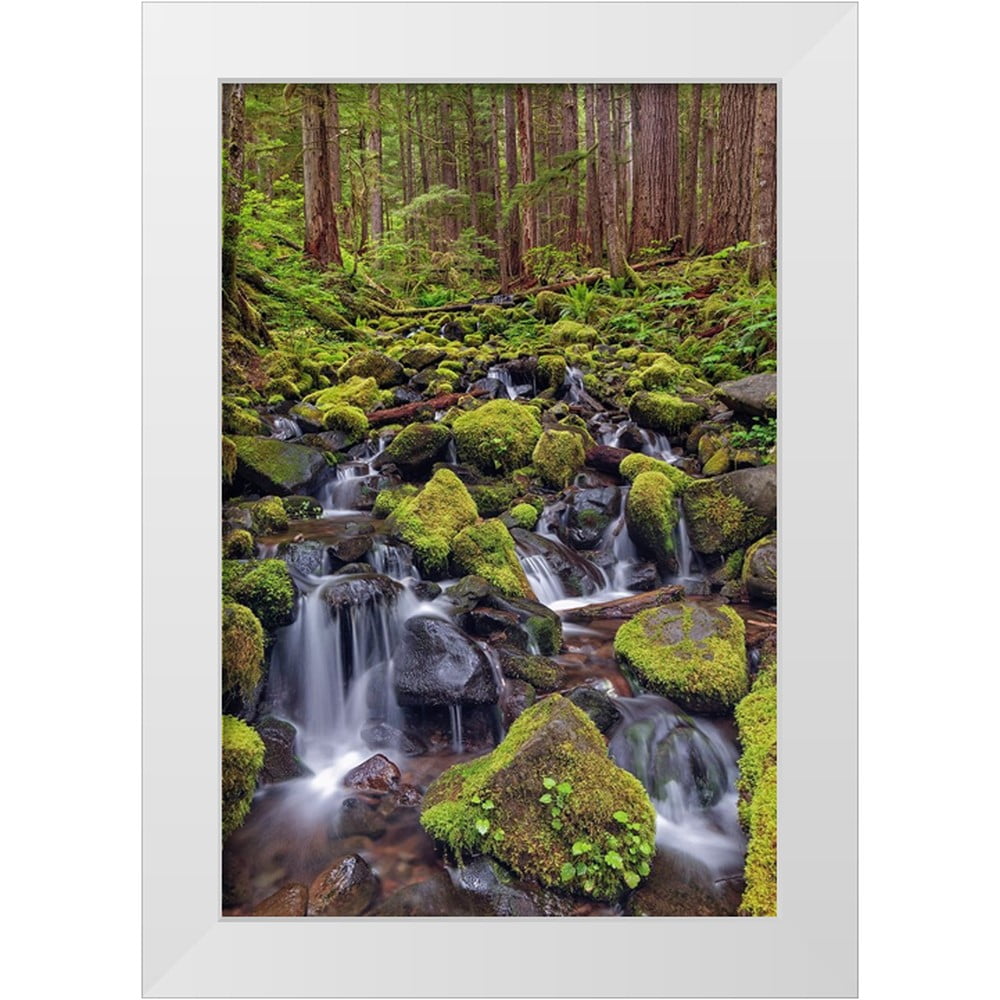 Jones, Adam 23x32 White Modern Wood Framed Museum Art Print Titled ...