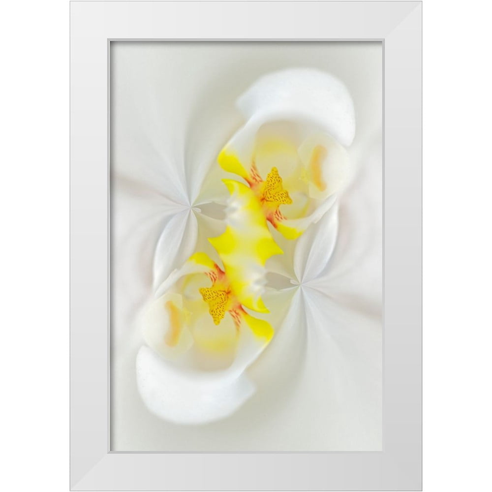 Jones, Adam 23x32 White Modern Wood Framed Museum Art Print Titled ...