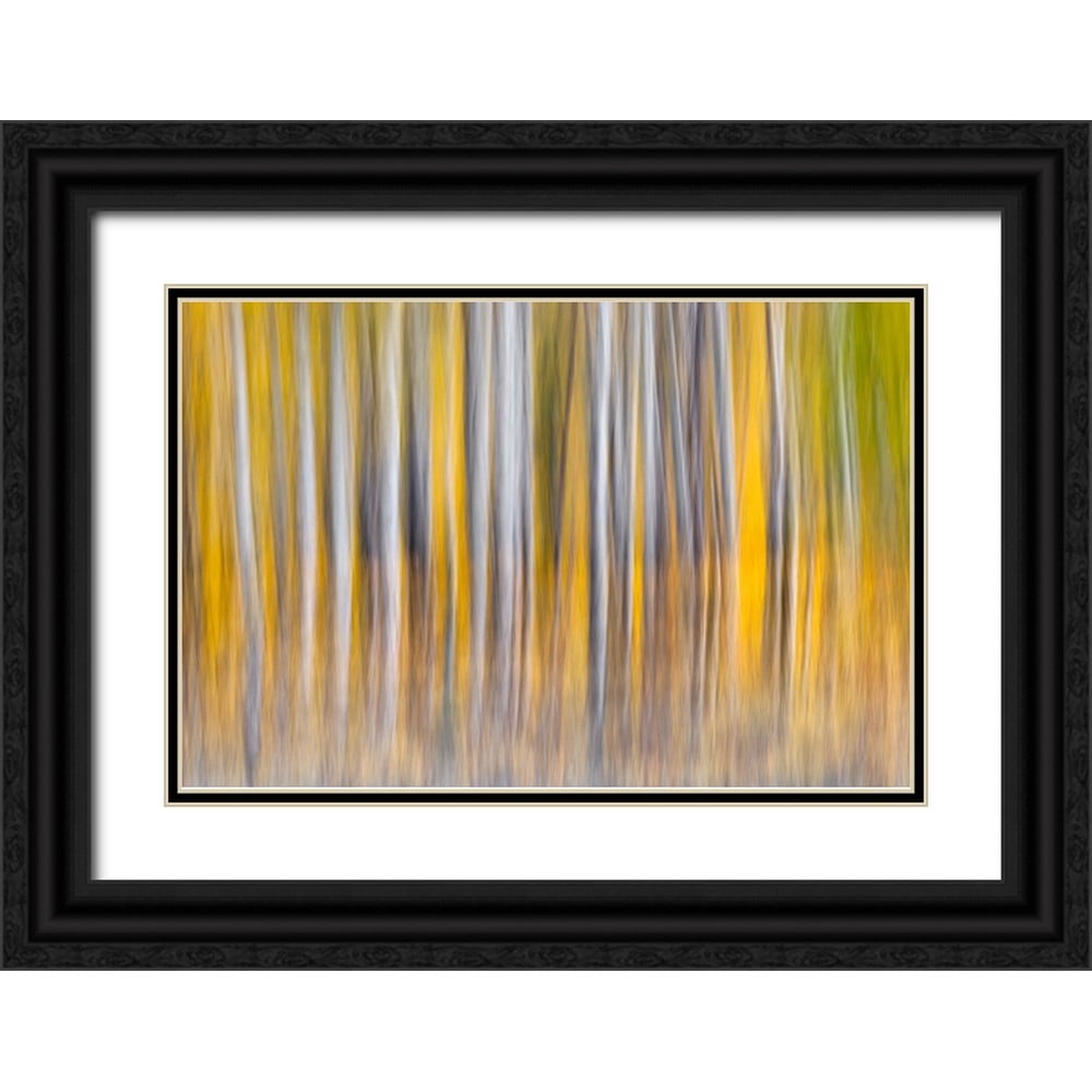 Jones, Adam 24x17 Black Ornate Wood Framed with Double Matting Museum ...