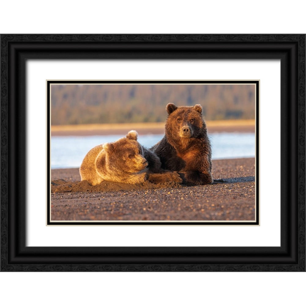 Jones, Adam 24x17 Black Ornate Wood Framed with Double Matting Museum ...