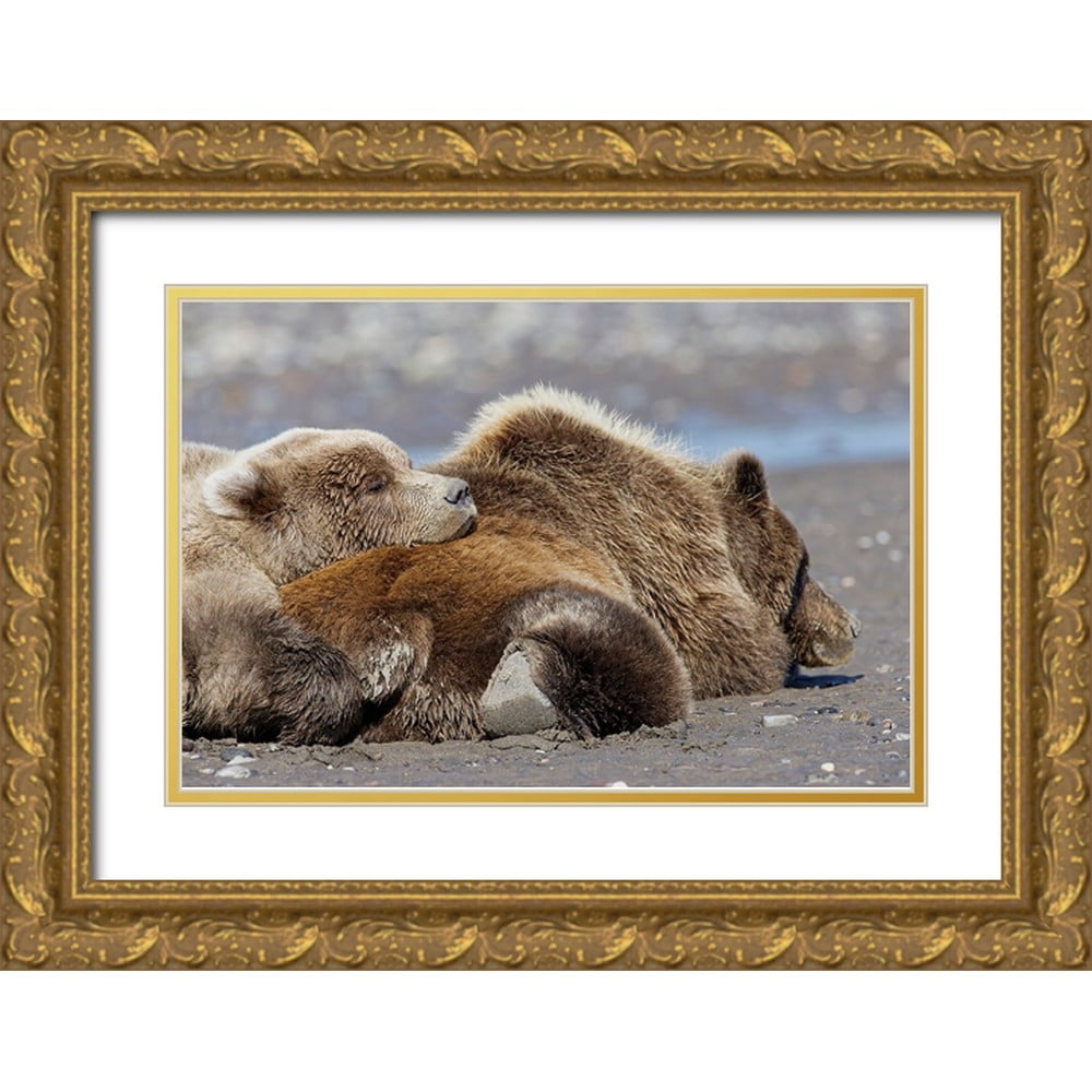 Jones, Adam 24x17 Gold Ornate Wood Framed with Double Matting Museum ...
