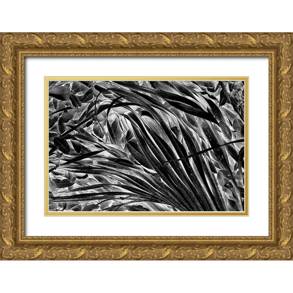 Jones, Adam 24x17 Gold Ornate Wood Framed with Double Matting Museum ...