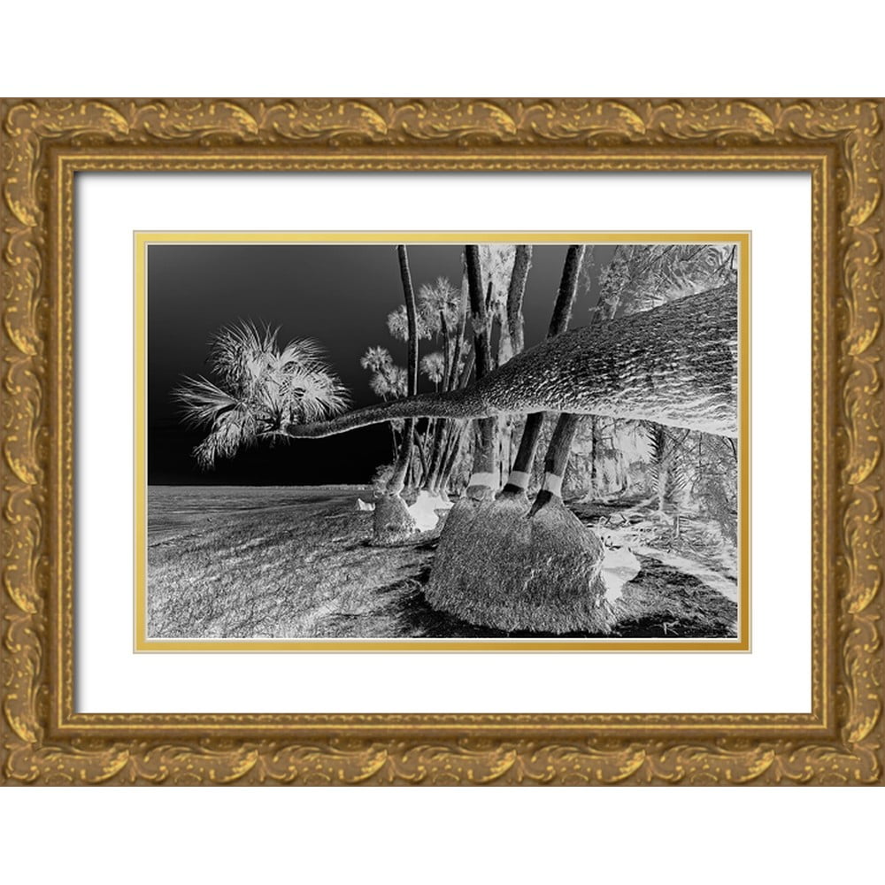 Jones, Adam 24x17 Gold Ornate Wood Framed with Double Matting Museum ...