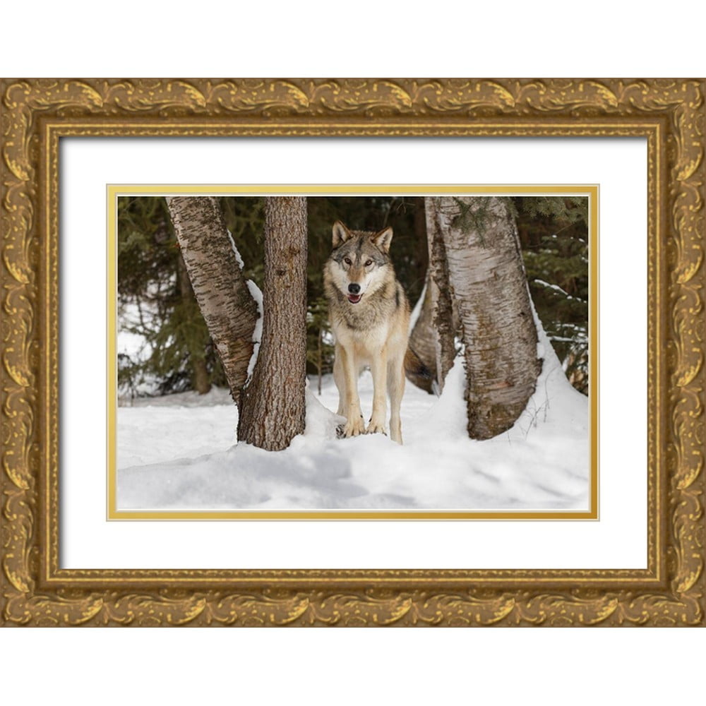 Jones, Adam 24x17 Gold Ornate Wood Framed with Double Matting Museum ...