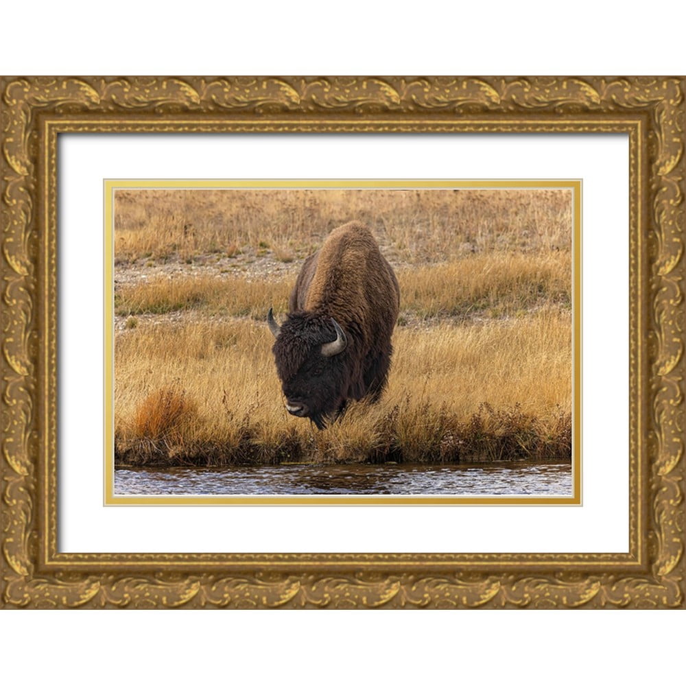 Jones, Adam 24x17 Gold Ornate Wood Framed with Double Matting Museum ...