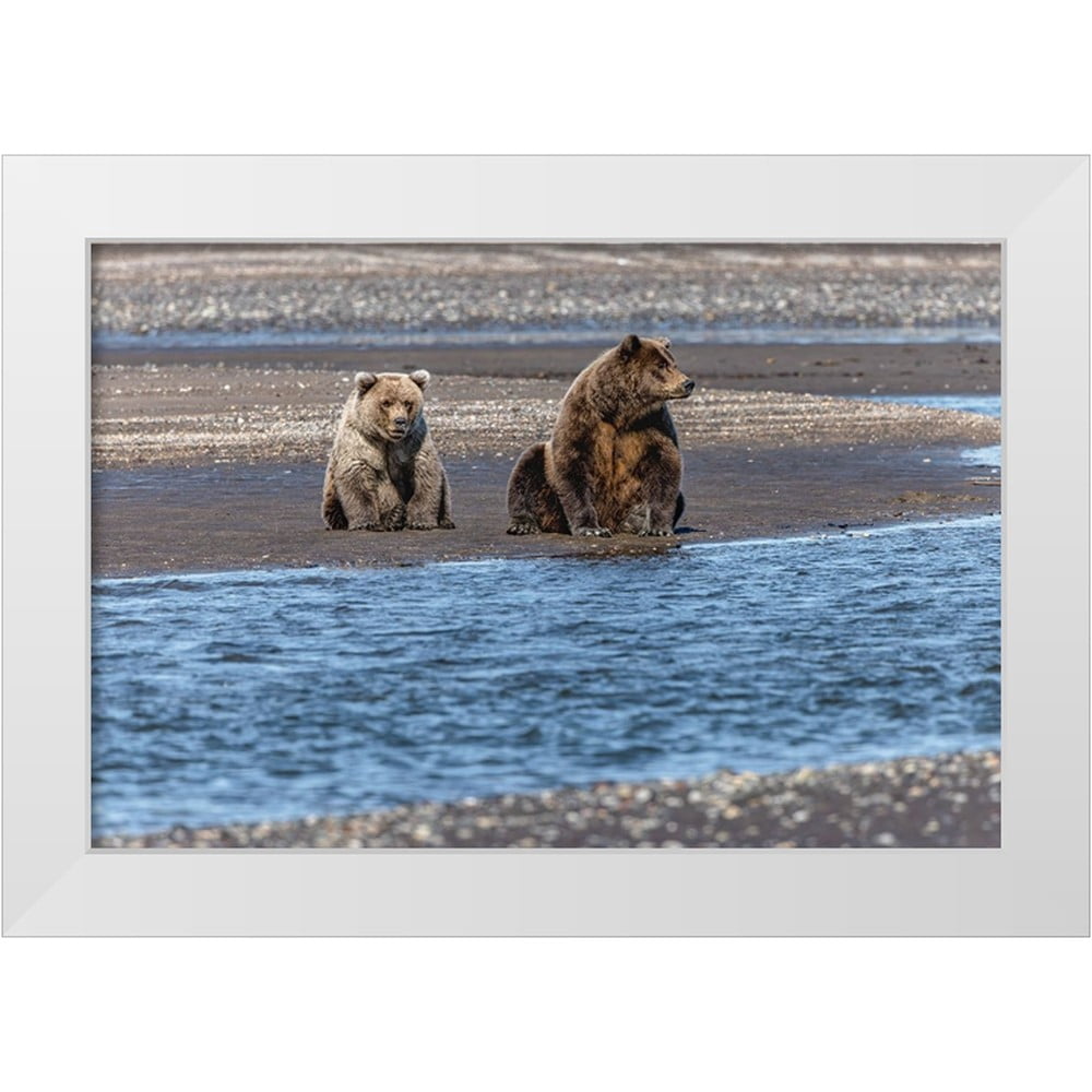 Jones, Adam 24x17 White Modern Wood Framed Museum Art Print Titled ...