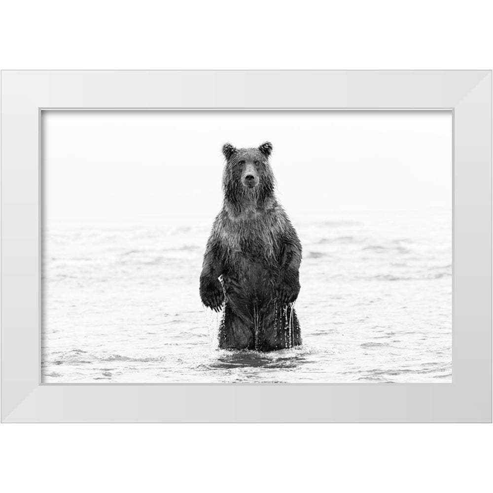 Jones, Adam 24x17 White Modern Wood Framed Museum Art Print Titled ...