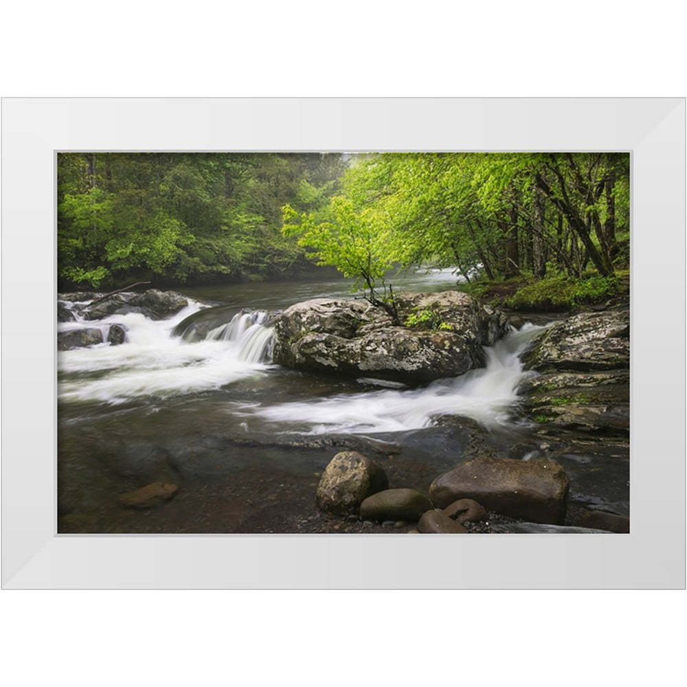 Jones, Adam 24x17 White Modern Wood Framed Museum Art Print Titled - Cascading mountain stream ...