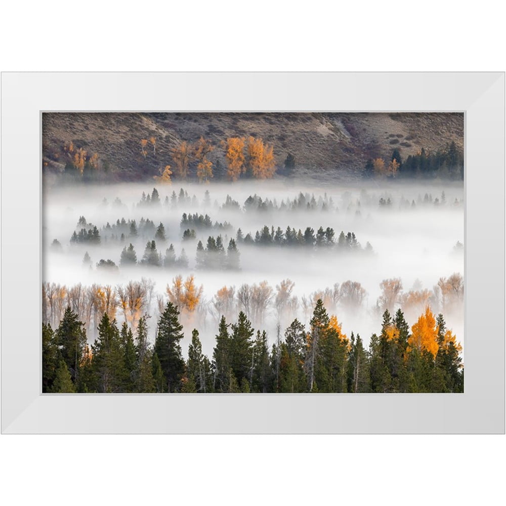 Jones, Adam 24x17 White Modern Wood Framed Museum Art Print Titled ...