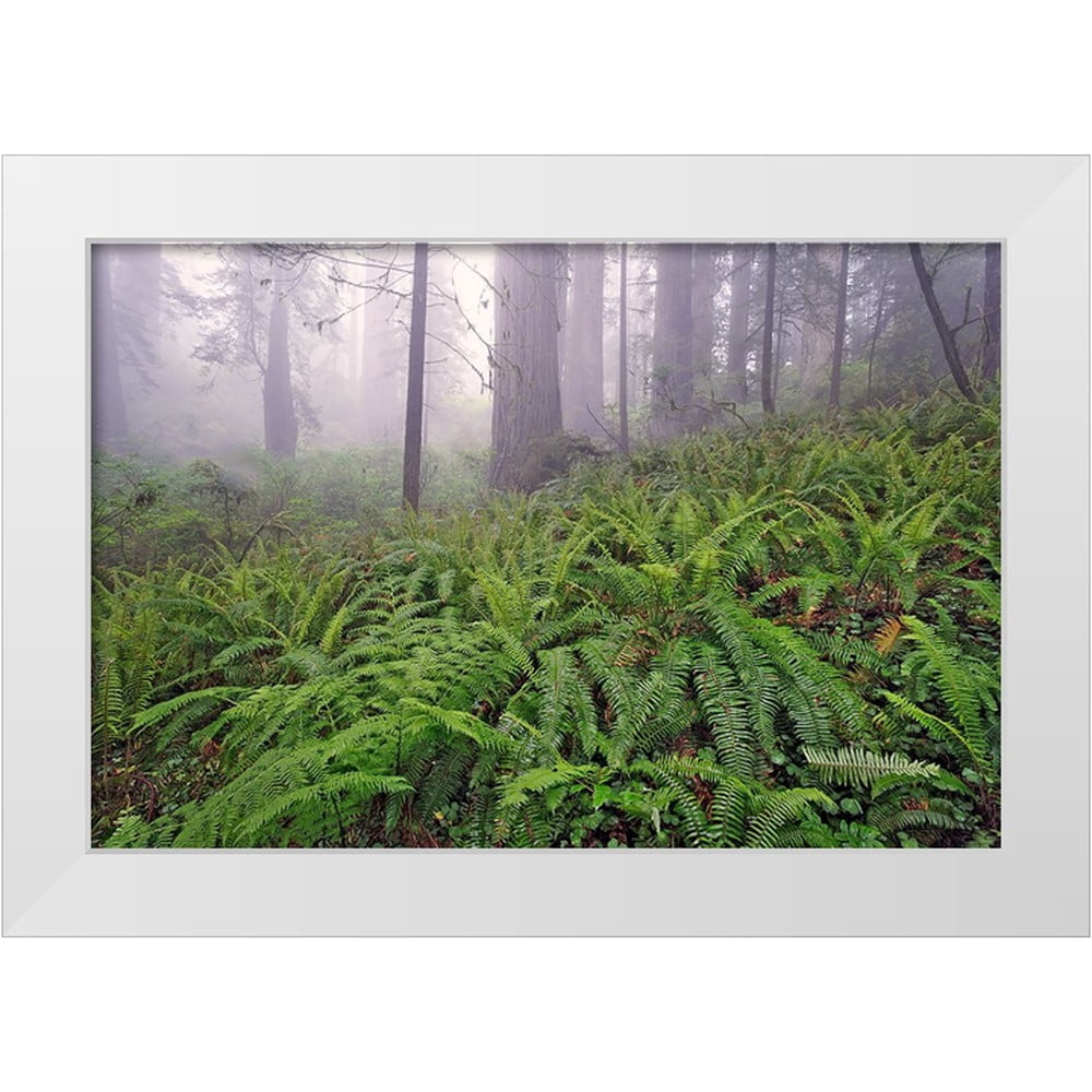 Jones, Adam 24x17 White Modern Wood Framed Museum Art Print Titled ...