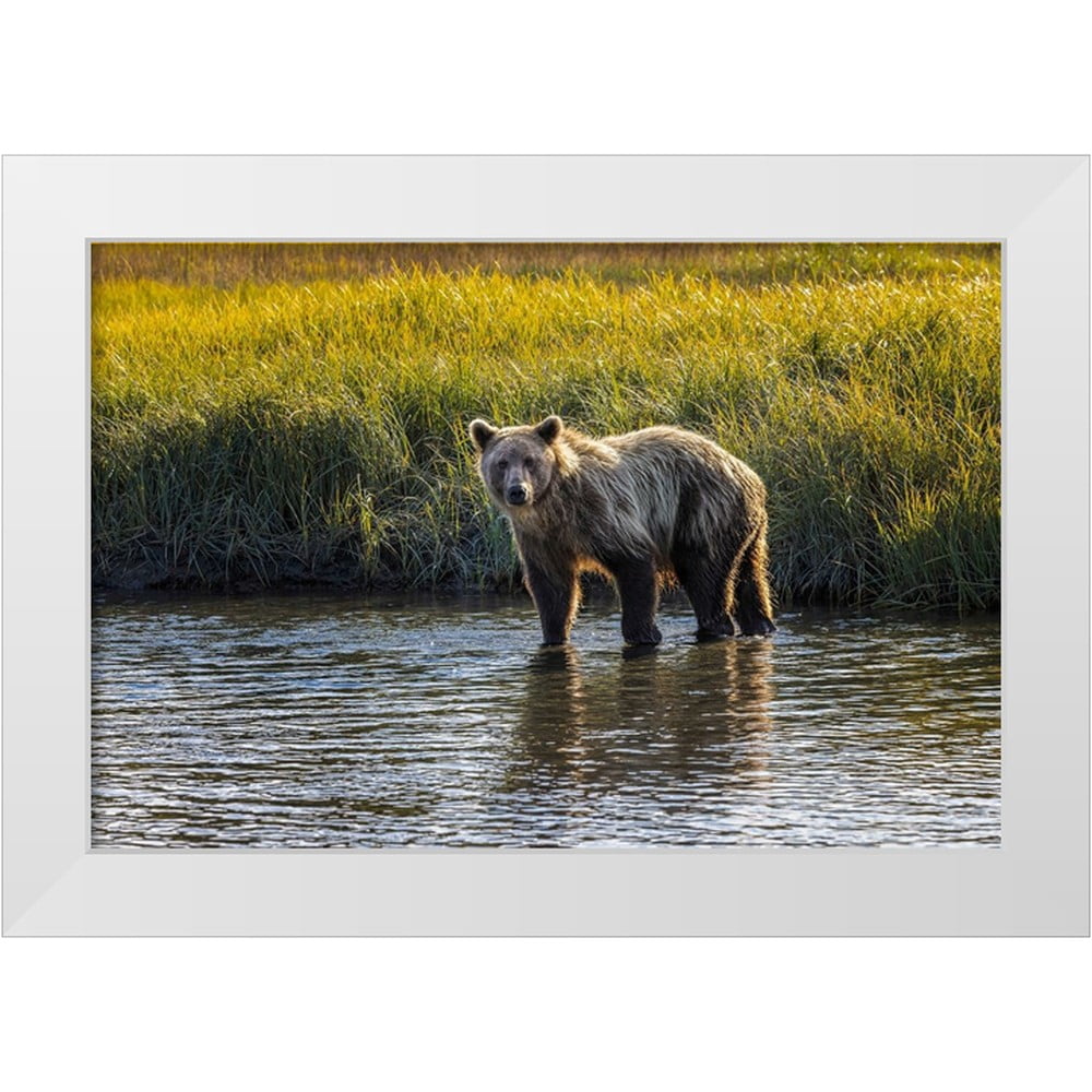 Jones, Adam 24x17 White Modern Wood Framed Museum Art Print Titled ...