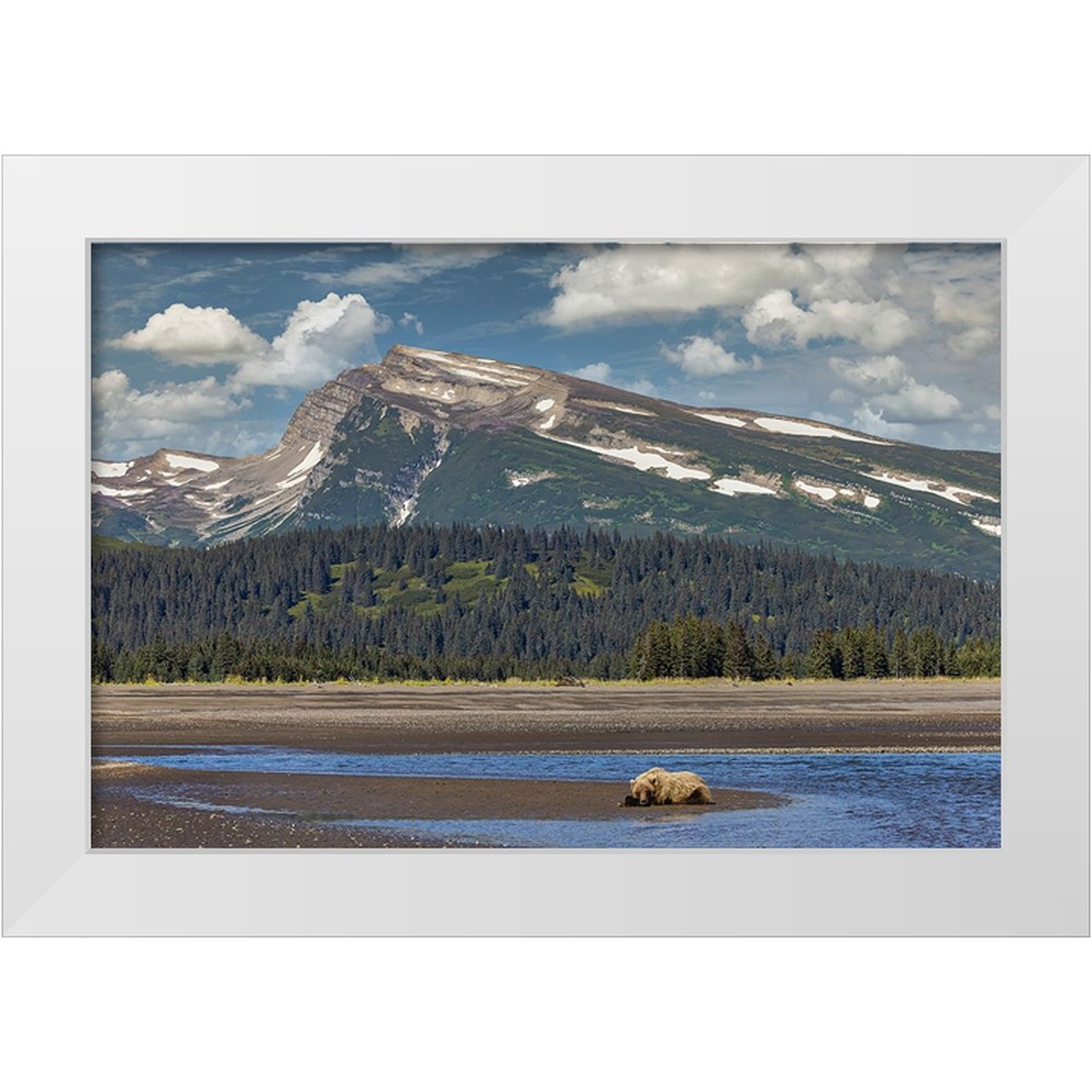 Jones, Adam 24x17 White Modern Wood Framed Museum Art Print Titled ...