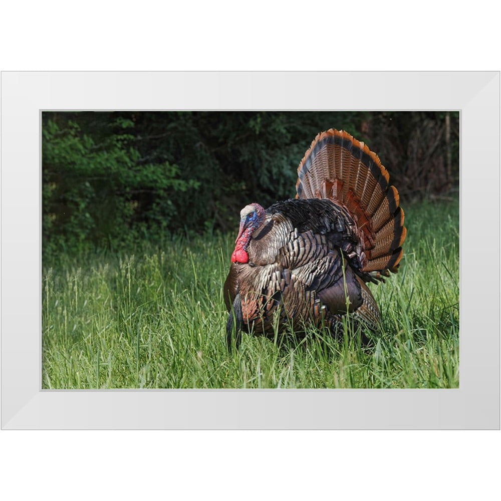 Jones, Adam 24x17 White Modern Wood Framed Museum Art Print Titled ...
