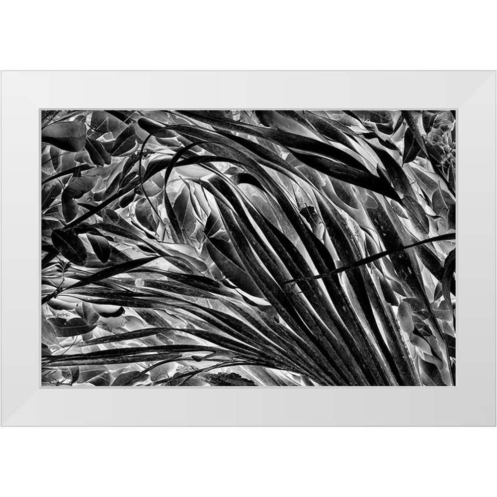 Jones, Adam 24x17 White Modern Wood Framed Museum Art Print Titled ...