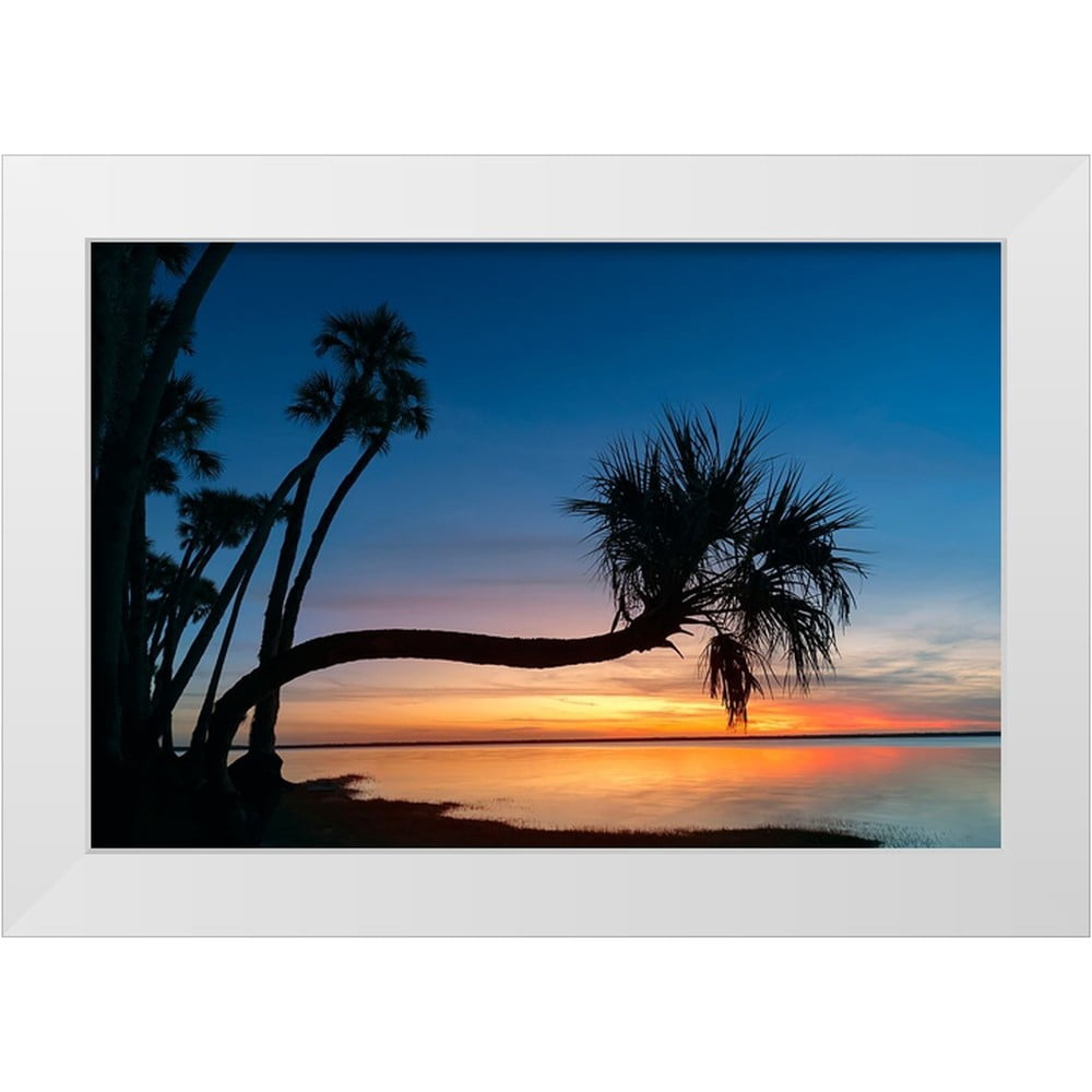 Jones, Adam 24x17 White Modern Wood Framed Museum Art Print Titled ...