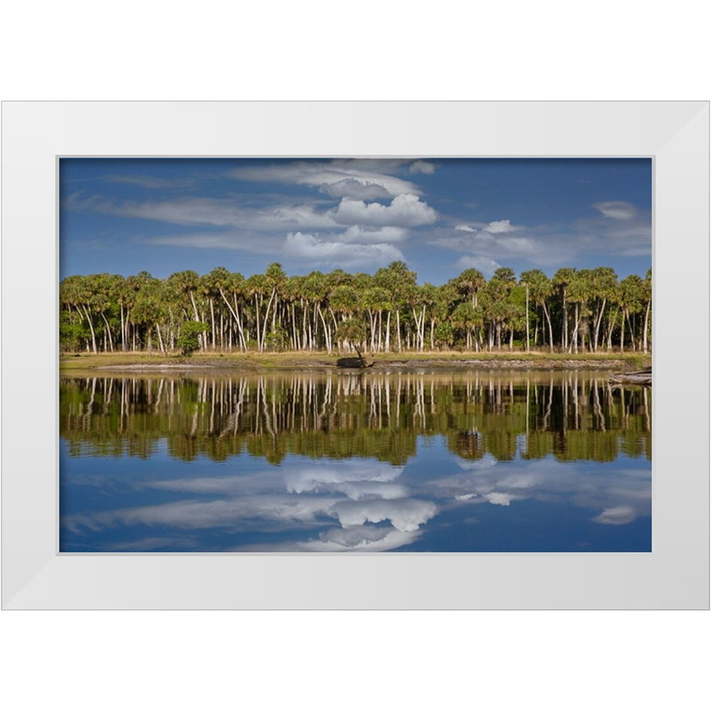 Jones, Adam 24x17 White Modern Wood Framed Museum Art Print Titled ...