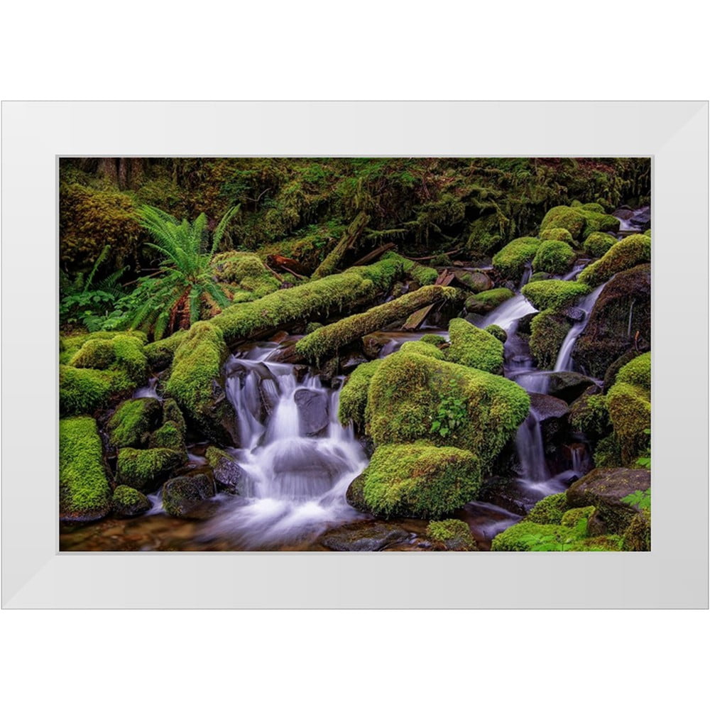 Jones, Adam 24x17 White Modern Wood Framed Museum Art Print Titled ...