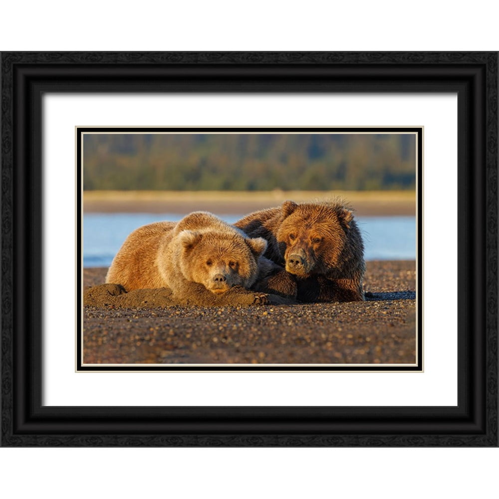 Jones, Adam 32x23 Black Ornate Wood Framed with Double Matting Museum ...