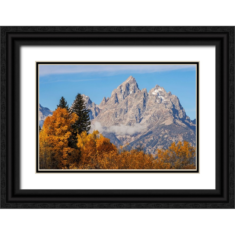 Jones, Adam 32x23 Black Ornate Wood Framed with Double Matting Museum ...