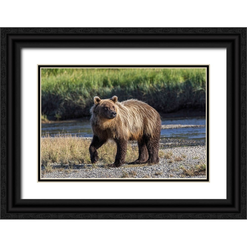 Jones, Adam 32x23 Black Ornate Wood Framed with Double Matting Museum ...