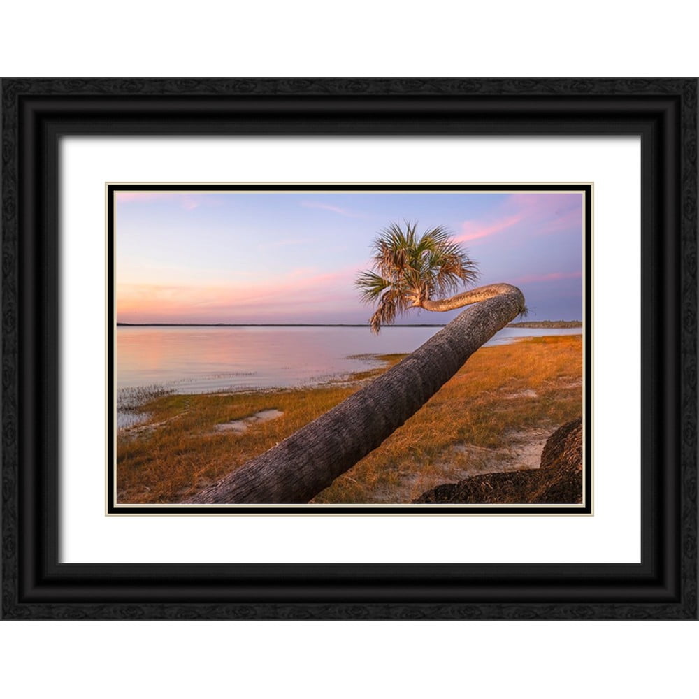 Jones, Adam 32x23 Black Ornate Wood Framed with Double Matting Museum ...