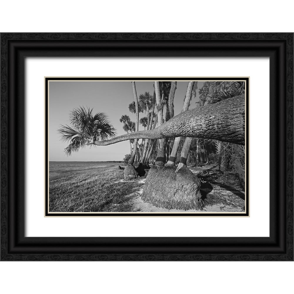 Jones, Adam 32x23 Black Ornate Wood Framed with Double Matting Museum ...