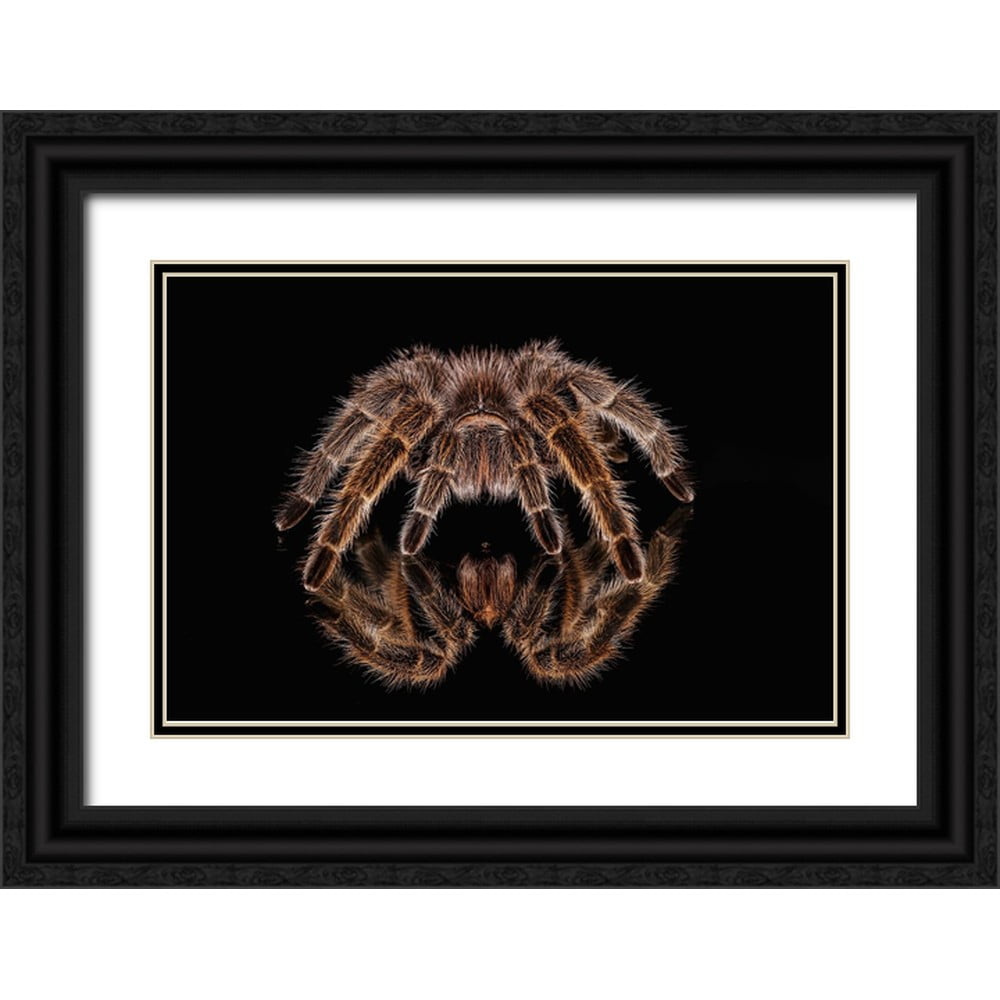 Jones, Adam 32x23 Black Ornate Wood Framed with Double Matting Museum ...