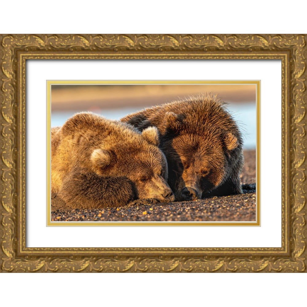 Jones, Adam 32x23 Gold Ornate Wood Framed with Double Matting Museum ...