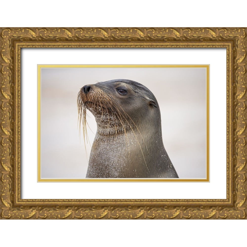 Jones, Adam 32x23 Gold Ornate Wood Framed with Double Matting Museum ...