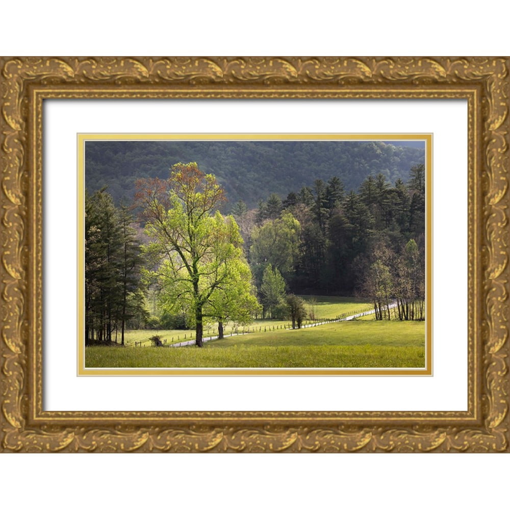 Jones, Adam 32x23 Gold Ornate Wood Framed with Double Matting Museum ...