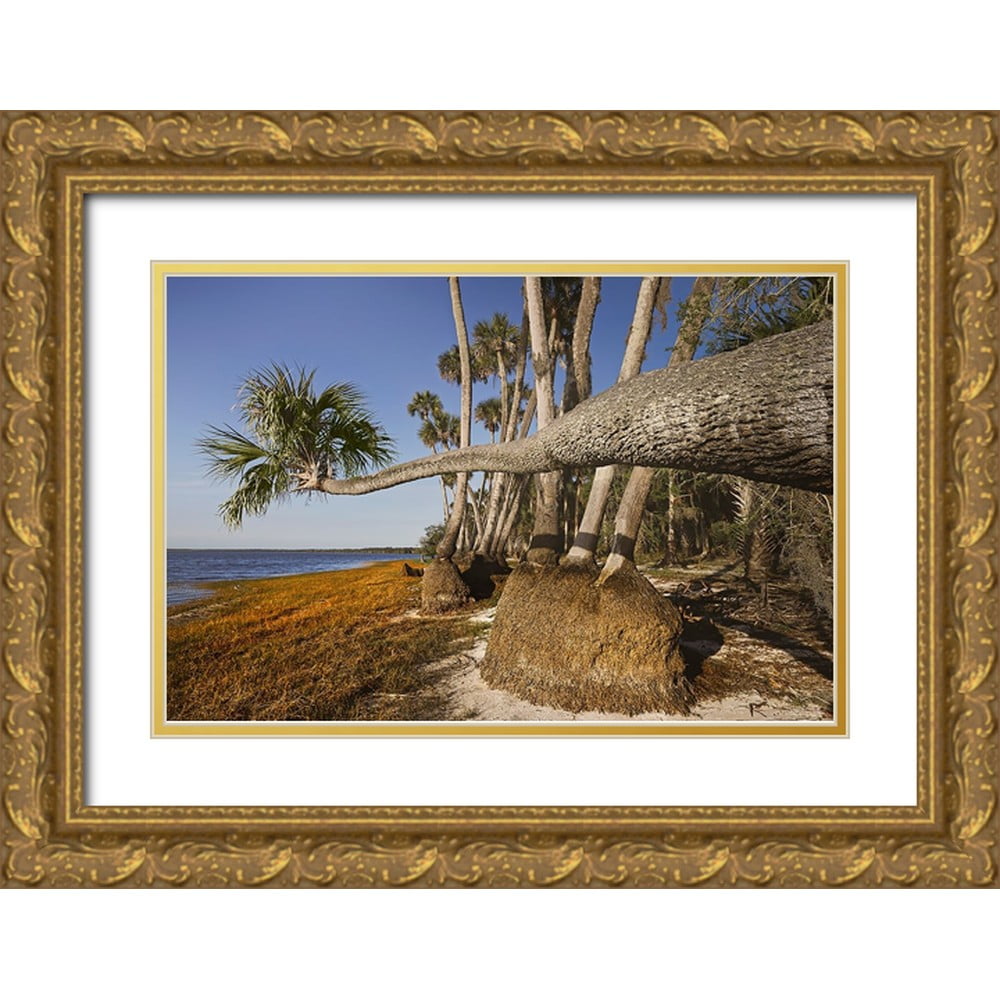 Jones, Adam 32x23 Gold Ornate Wood Framed with Double Matting Museum ...