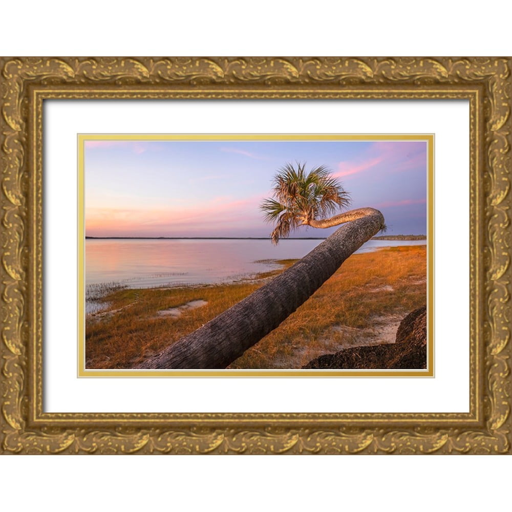 Jones, Adam 32x23 Gold Ornate Wood Framed with Double Matting Museum ...