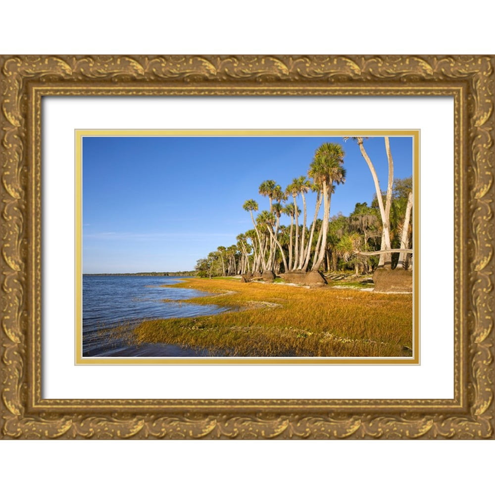 Jones, Adam 32x23 Gold Ornate Wood Framed with Double Matting Museum ...